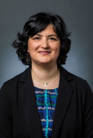 Yazdan awarded AHA funding for innovative stroke treatment - Washington ...