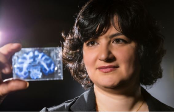 Yazdan awarded AHA funding for innovative stroke treatment - Washington ...